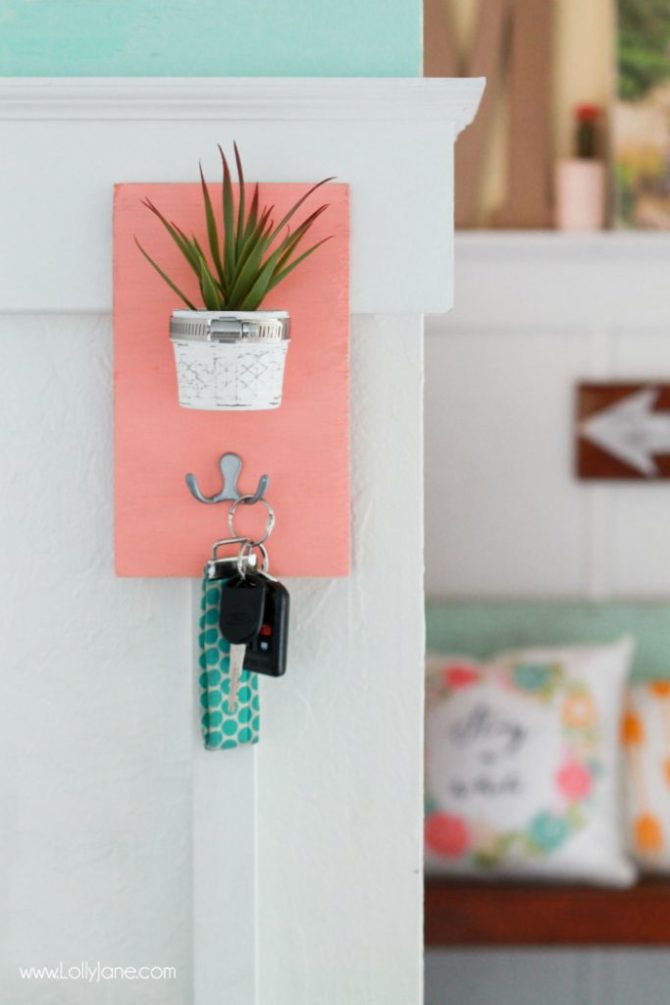 diy succulent key holder