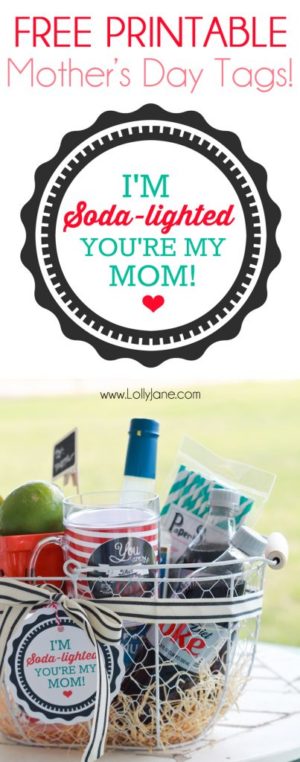 Mothers Day "Soda-lighted" basket with free printable tag!