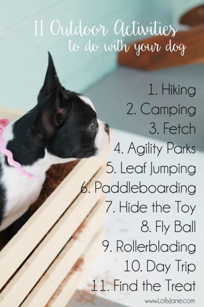 outdoor activities to do with your dog