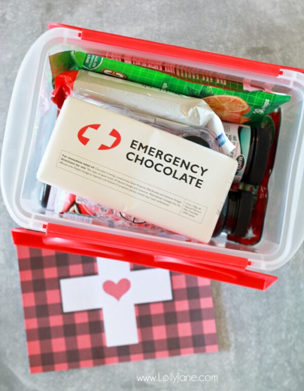 "Sick Kit" ideas + FREE printable tag - Lolly Jane