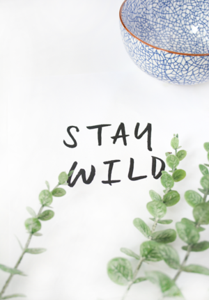 Stay Wild Free Printable - Lolly Jane