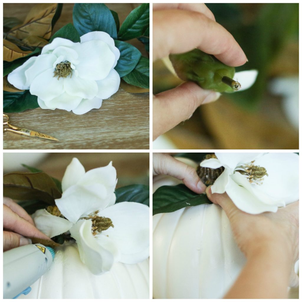 DIY Magnolia Pumpkin - Lolly Jane
