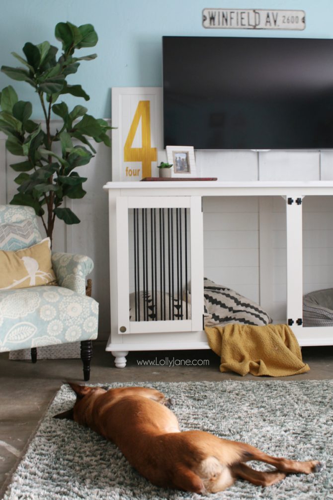 Doggie Den Dog Kennel Furniture - No More Ugly Dog Crates!