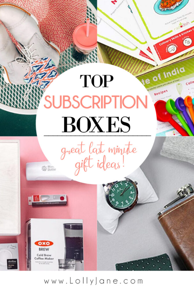 7 of the Best Subscription Boxes to Buy - Lolly Jane